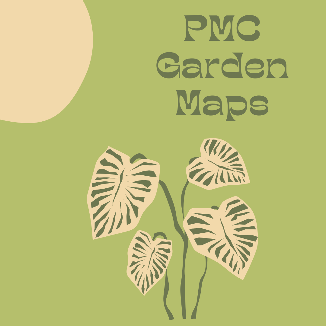 Current Announcements – Peace Mennonite Church